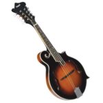 Morgan Monroe Website - Premium Musical Instruments
